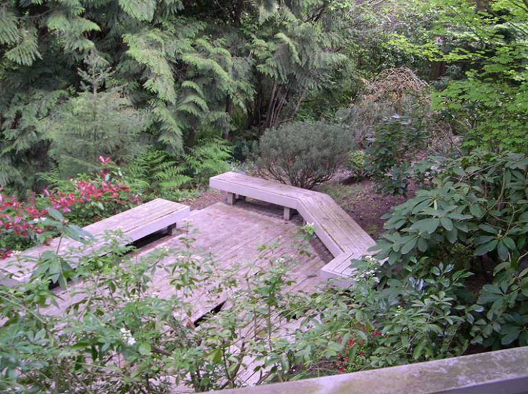 Before and After Gallery | Olympic Landscape Design