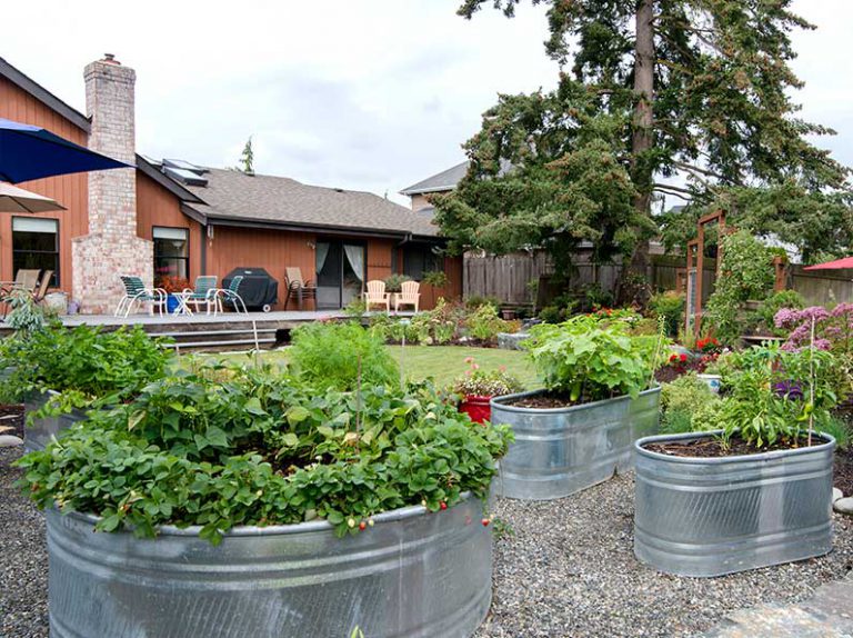 Before and After Gallery | Olympic Landscape Design