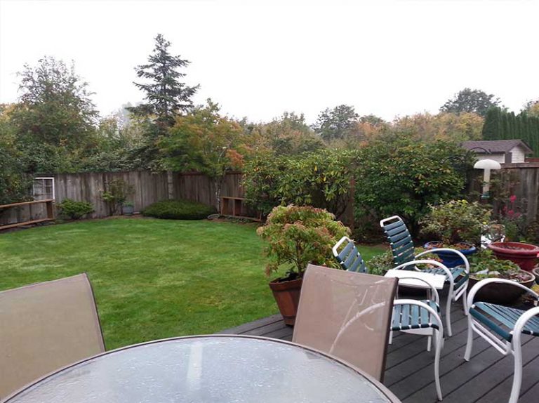 Before and After Gallery | Olympic Landscape Design