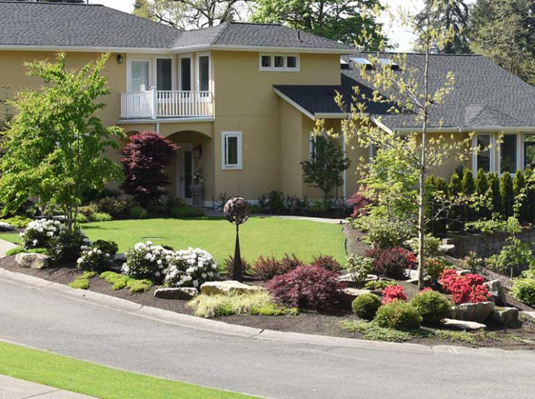 Before and After Gallery | Olympic Landscape Design