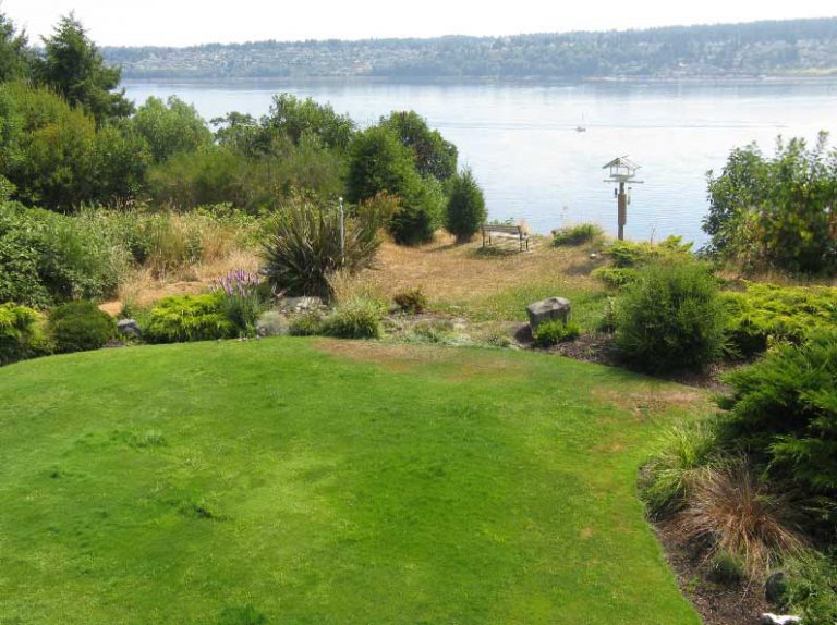 Before and After Gallery | Olympic Landscape Design