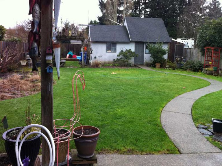 Before and After Gallery | Olympic Landscape Design