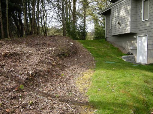 Kent Landscape Design, Construction and Services | Olympic Landscape LLC